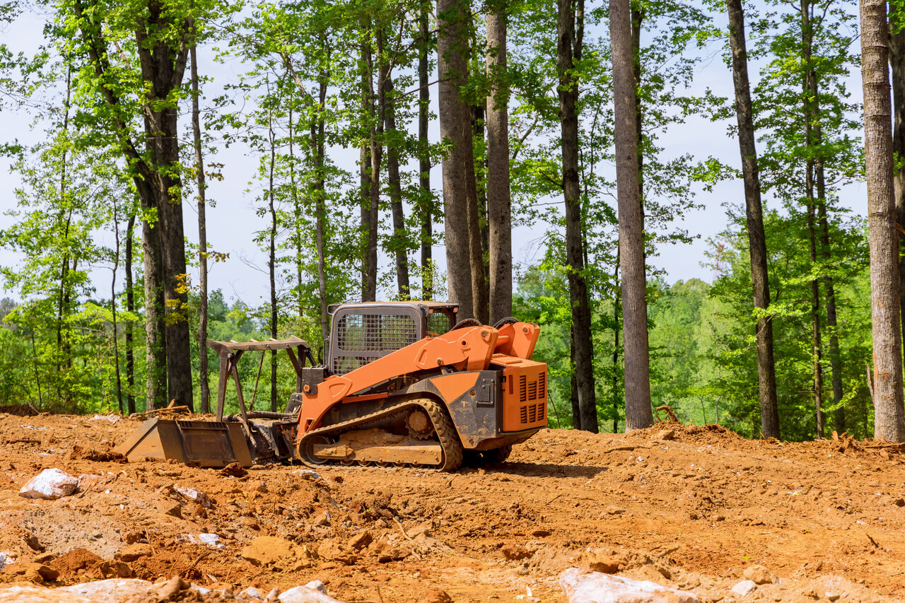 Navigating Land Clearing Services: How-To Guide